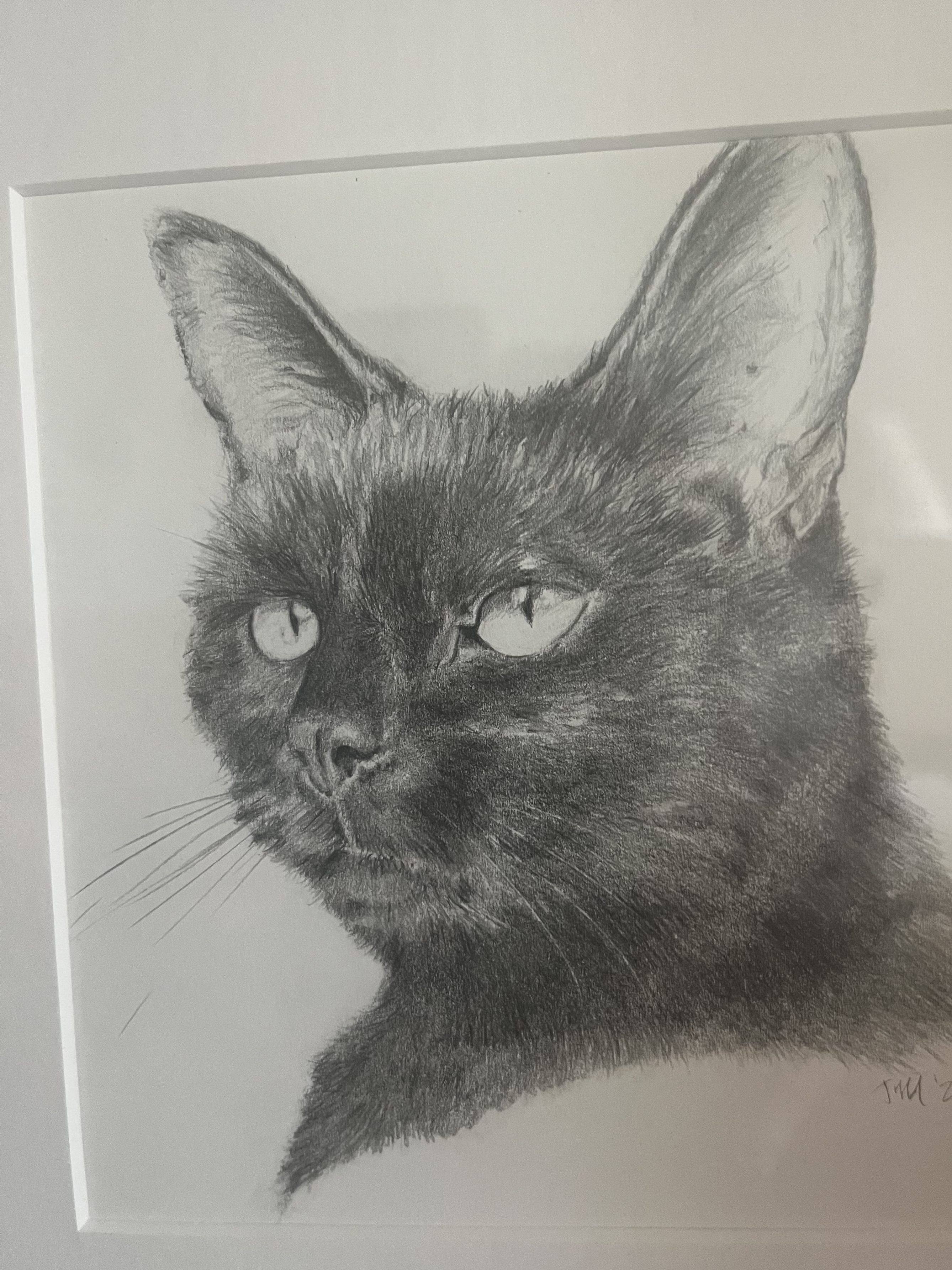 Art – Frame & Fiber